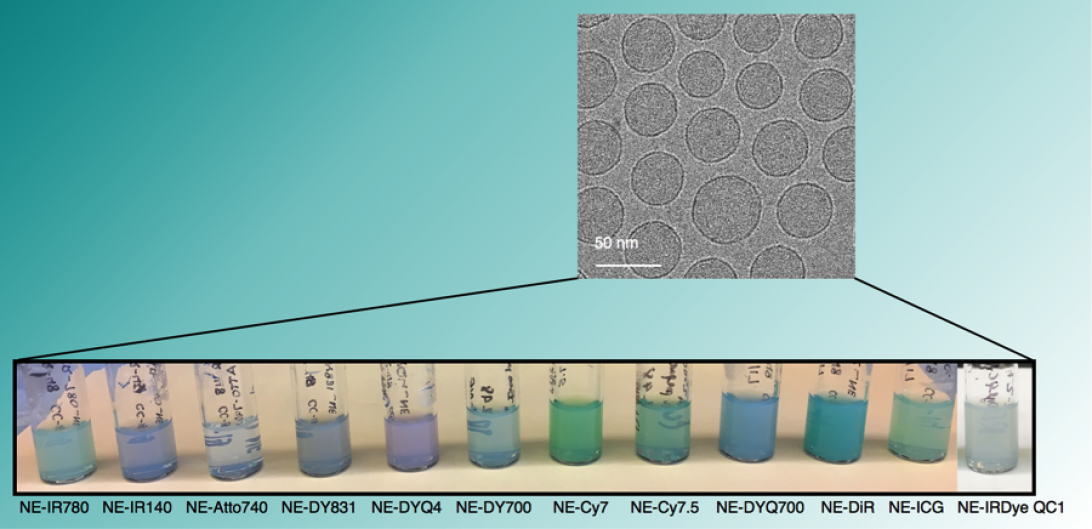 research – Roberts Lab