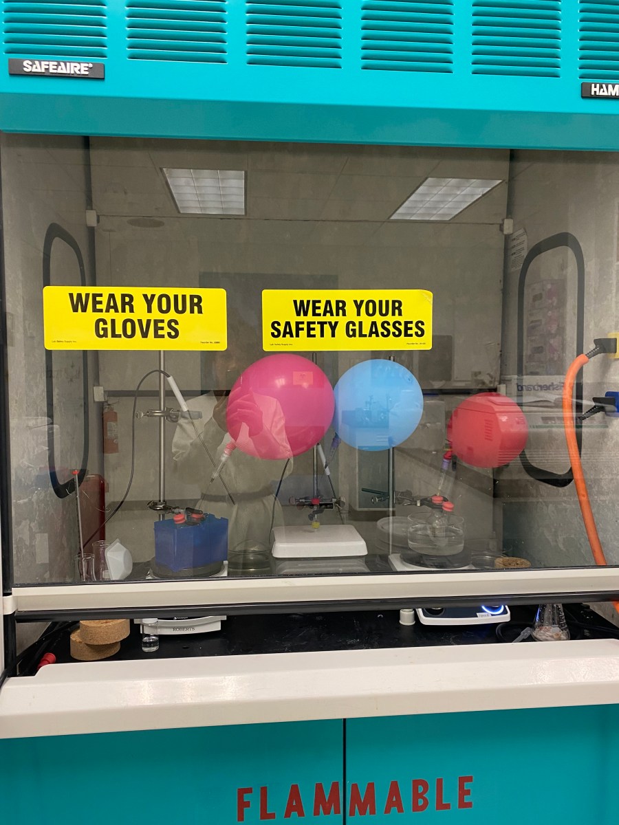 Welcome to our Lab 2023 – Roberts Lab